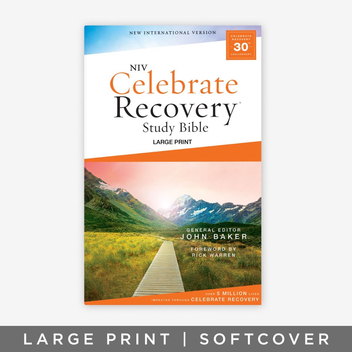 Large Print Celebrate Recovery Study Bible NIV (Softcover) 11pt font ...