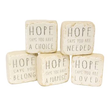 Hope Stone Bundle – Pastor Rick Store